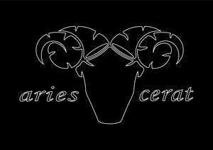 Aries Cerat – Nintronics UK